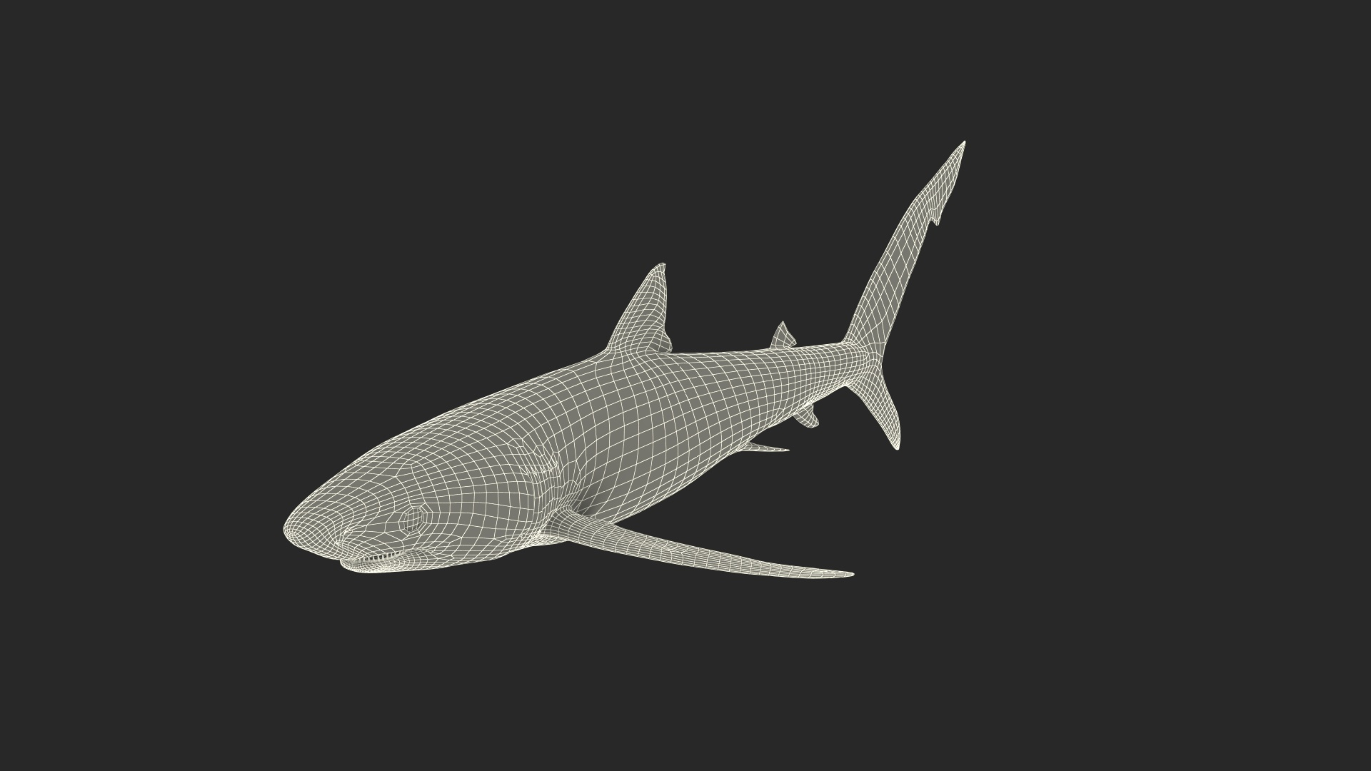 Realistic Blue Shark 3D - TurboSquid 2235892