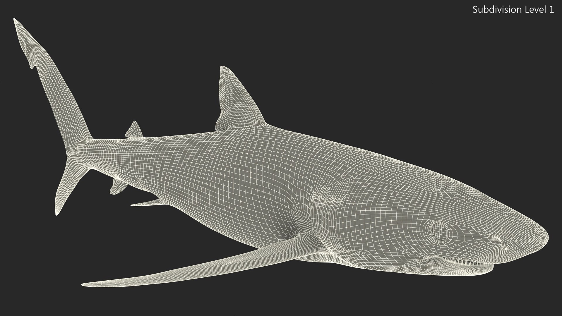 Realistic Blue Shark 3D - TurboSquid 2235892