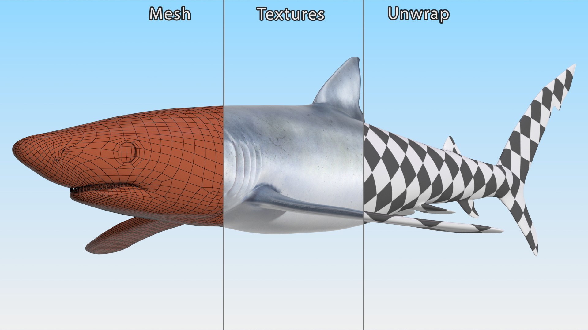 Realistic Blue Shark 3D - TurboSquid 2235892