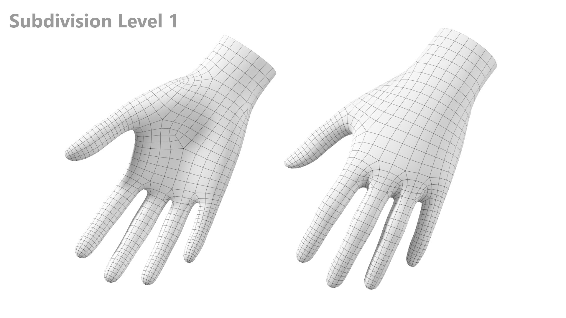3D Model Female Hand Base Mesh 08 - TurboSquid 2184341