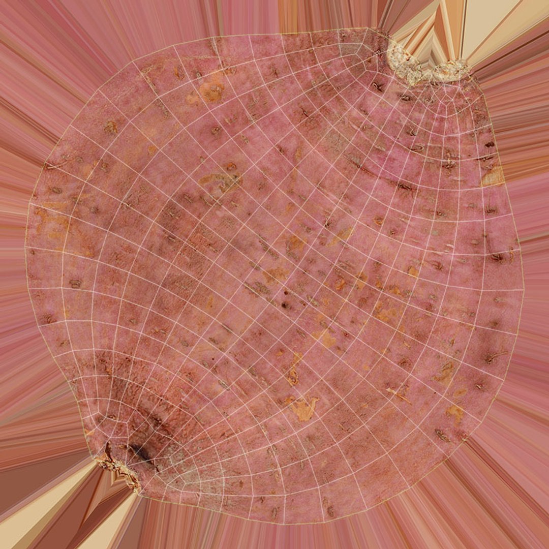 Sweet Potatoes Low Poly model - TurboSquid 2117318