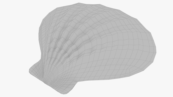 Seashells mesh v1 3D model - TurboSquid 1630512