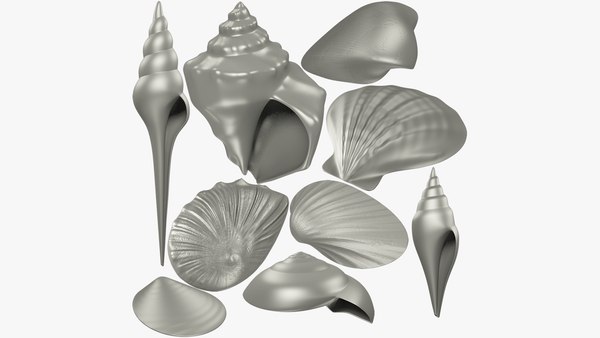 Seashells Meshes 컬렉션 V1 3D 모델 - TurboSquid 1630512