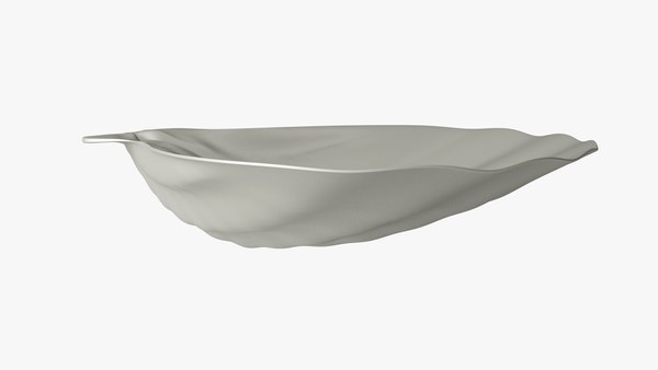 Seashells mesh v1 3D model - TurboSquid 1630512