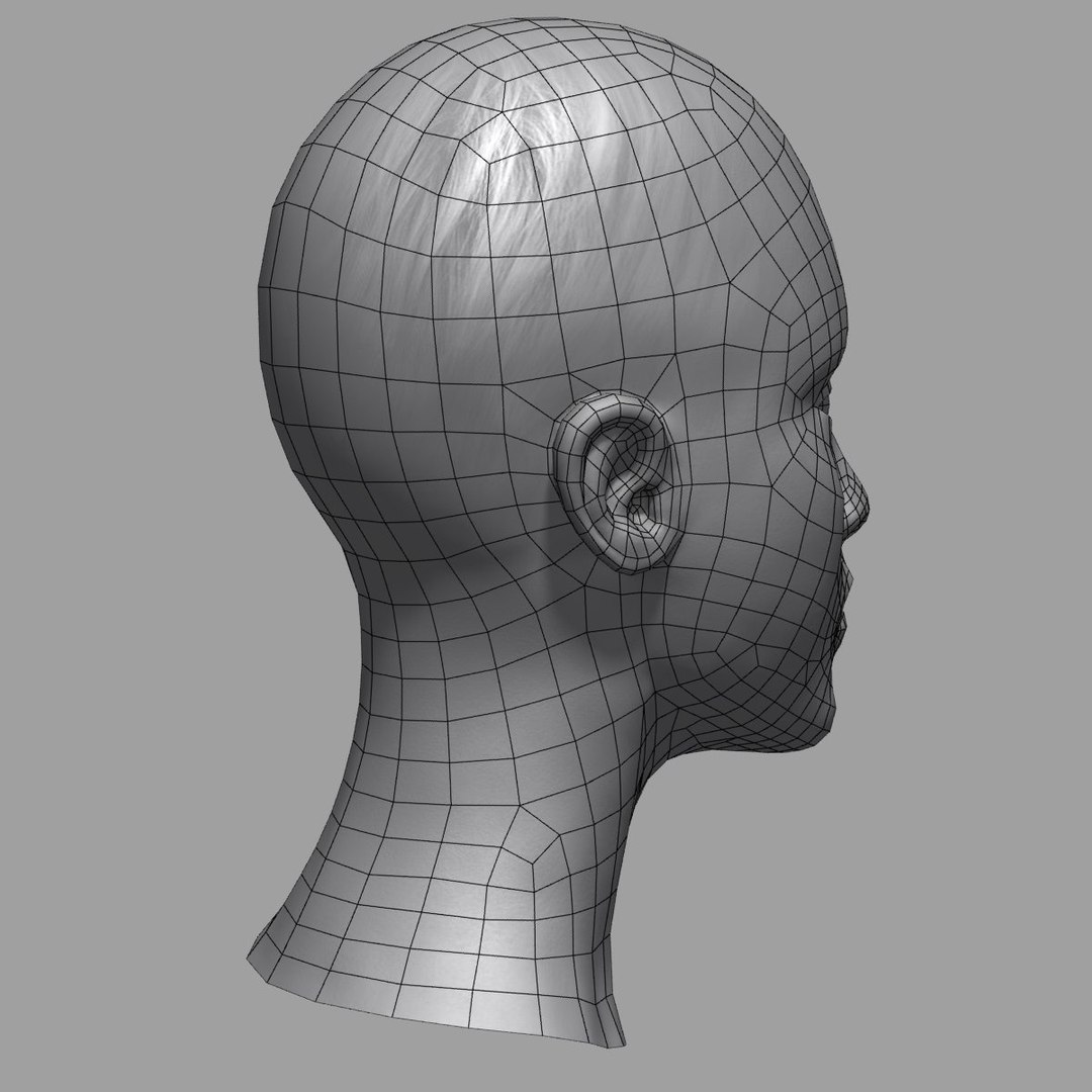 Max Female Head