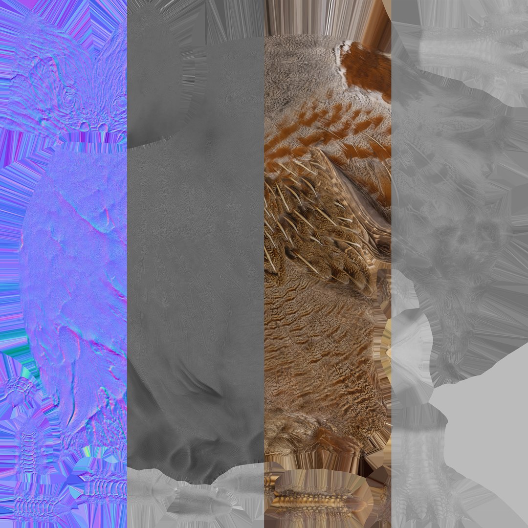 3D Gray Partridge Male 01 Model - TurboSquid 2074685