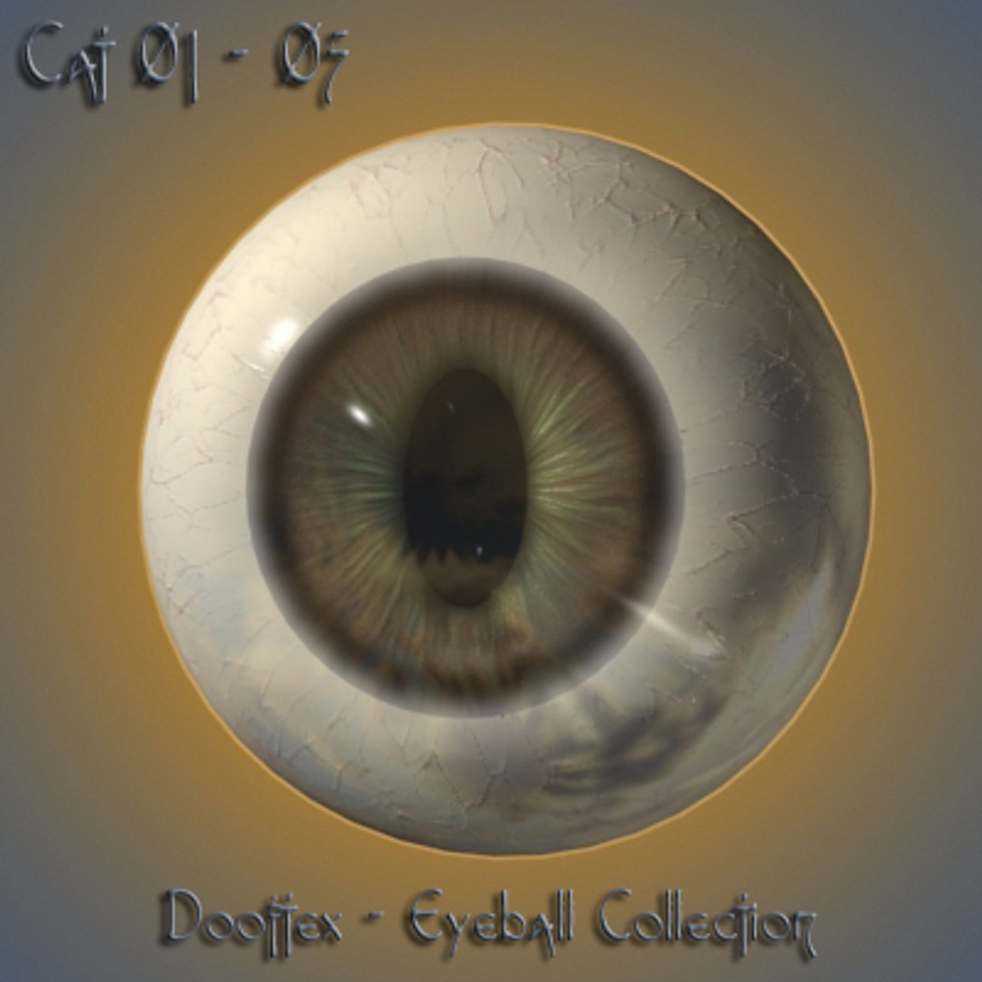 3d cat eye model