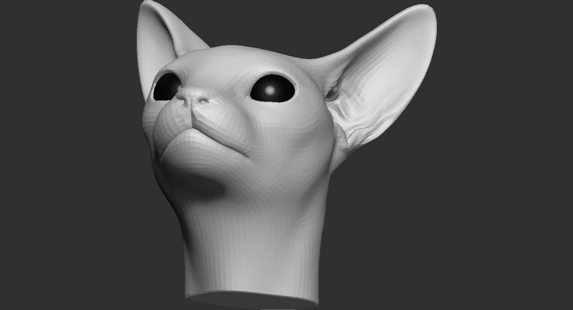 3D Cat Head Base Mesh Model - TurboSquid 1427328