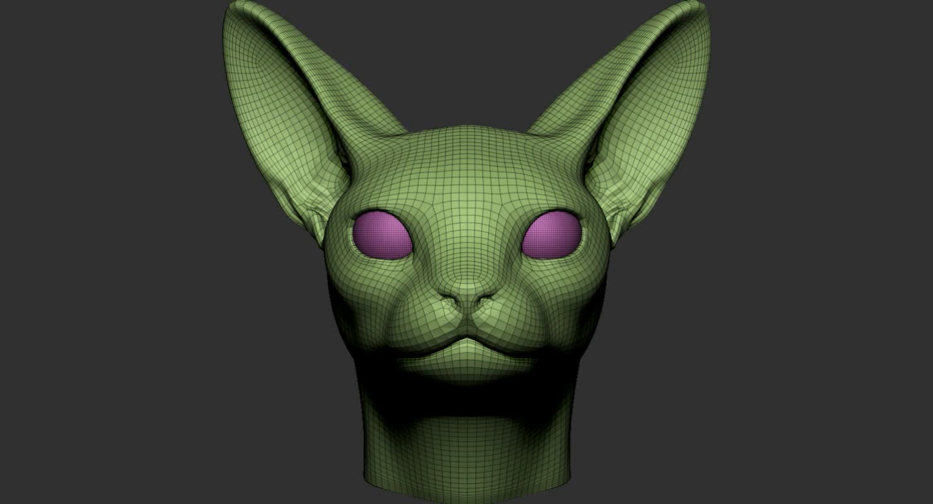 3D Cat Head Base Mesh Model - TurboSquid 1427328