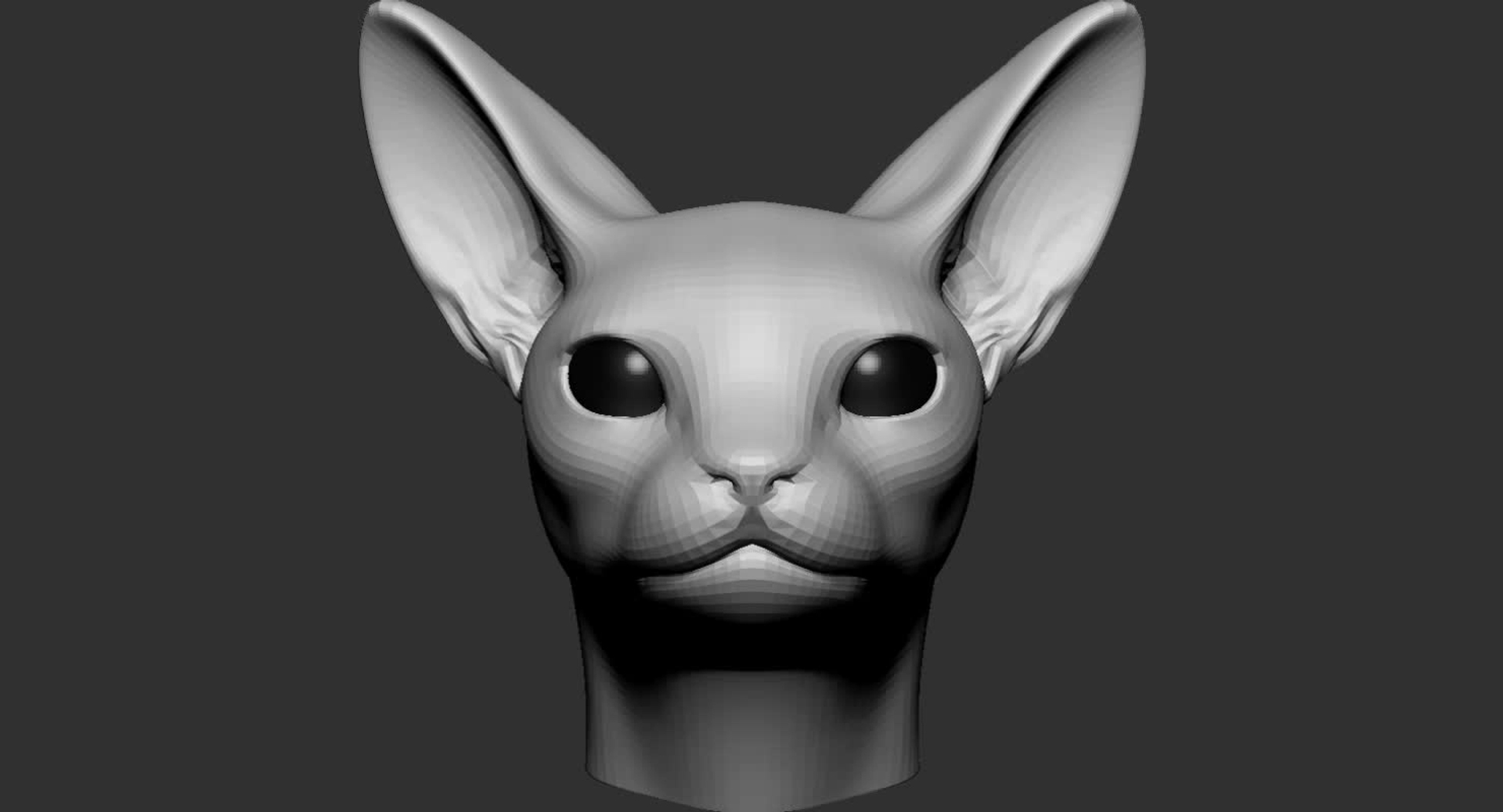 3D Cat Head Base Mesh Model - TurboSquid 1427328