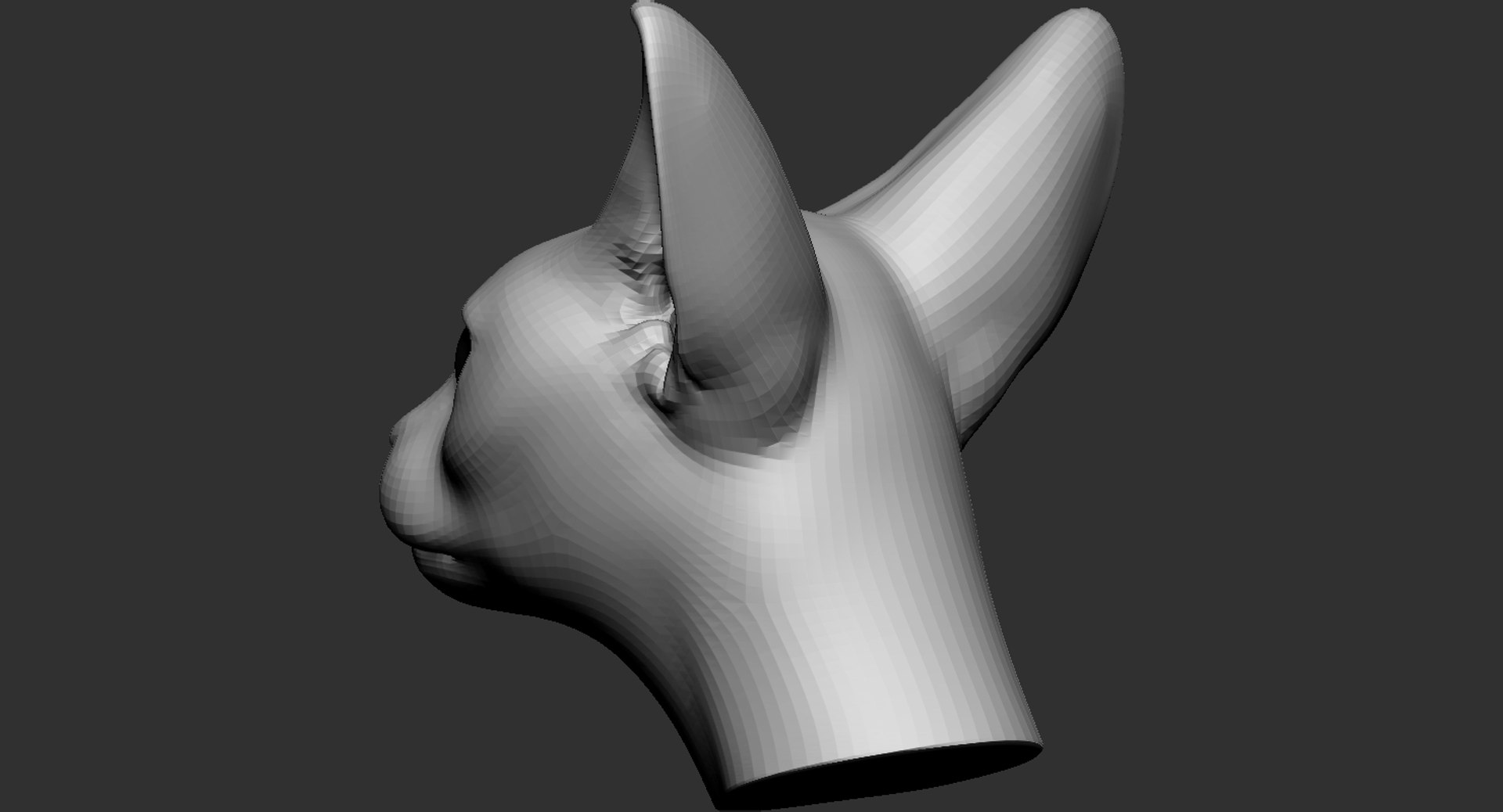 3D Cat Head Base Mesh Model - TurboSquid 1427328