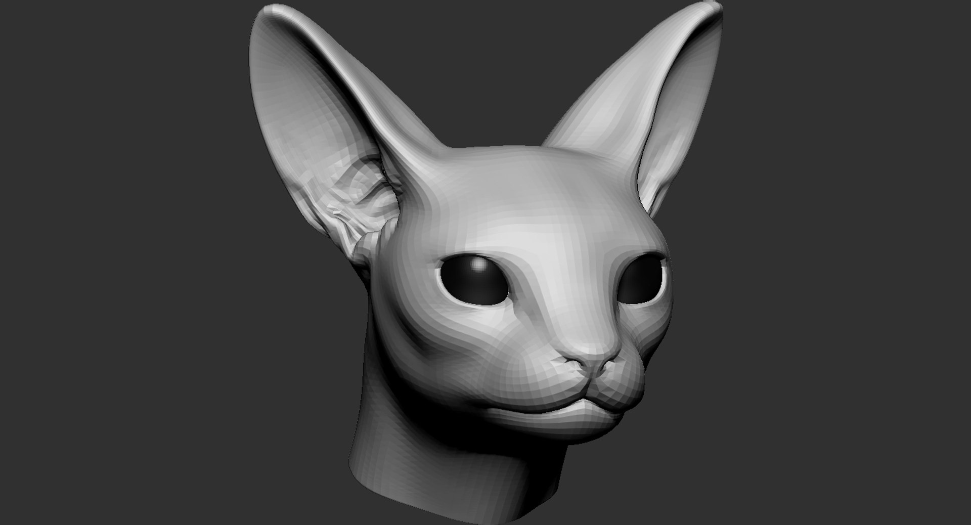 3D Cat Head Base Mesh Model - TurboSquid 1427328