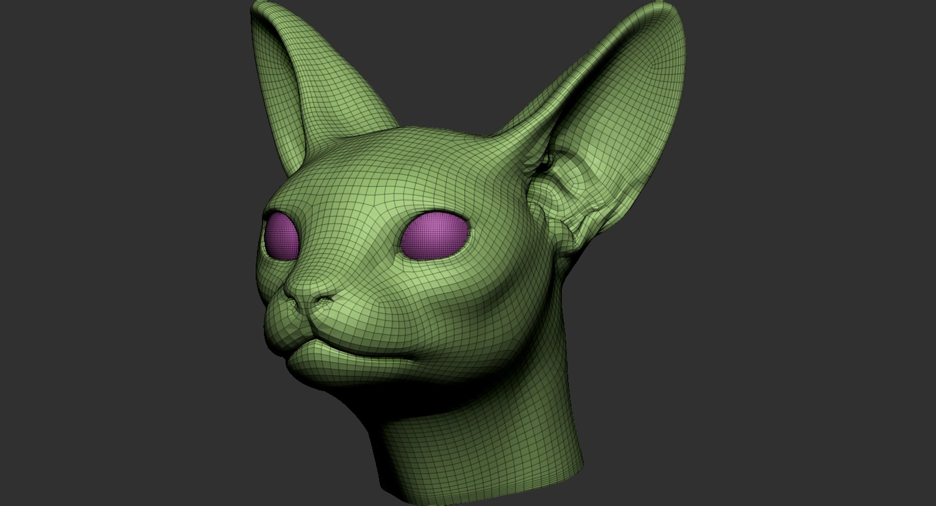 3D Cat Head Base Mesh Model - TurboSquid 1427328