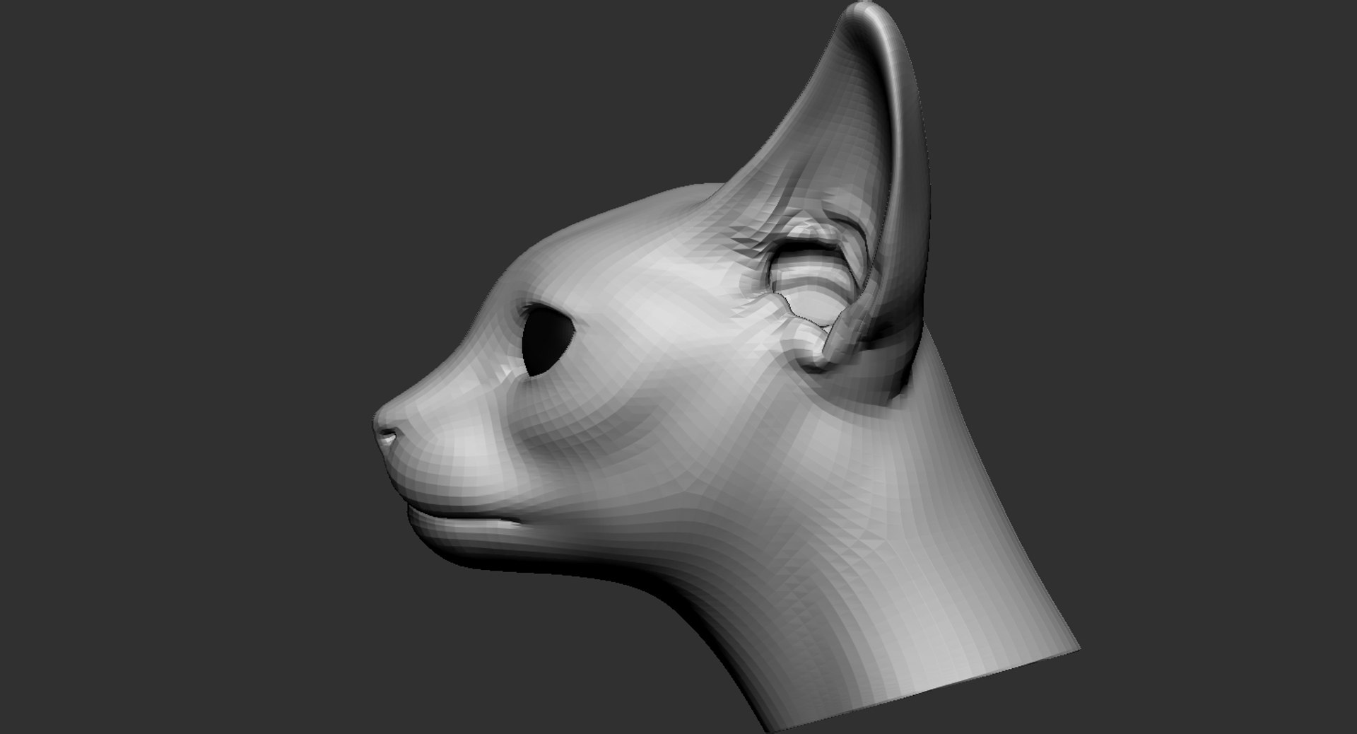 3D Cat Head Base Mesh Model - TurboSquid 1427328