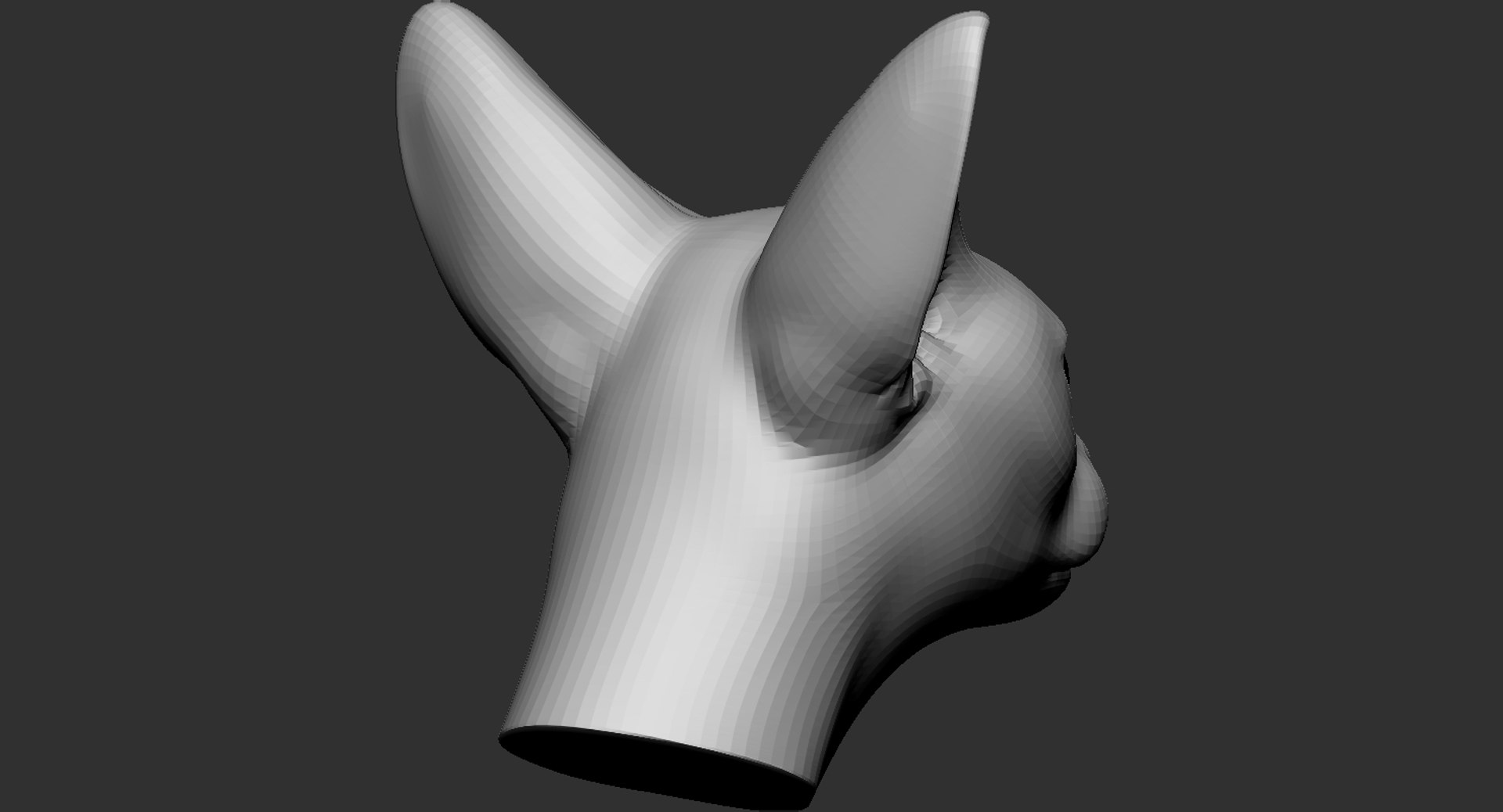 3D Cat Head Base Mesh Model - TurboSquid 1427328