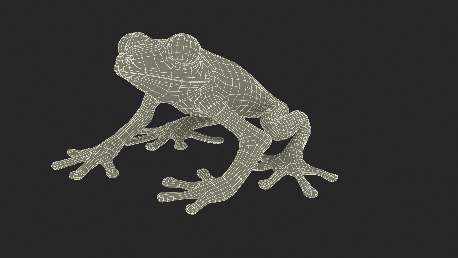 Red Eyed Tree Frog Realistic Rigged For Cinema 4D 3D Model - TurboSquid ...