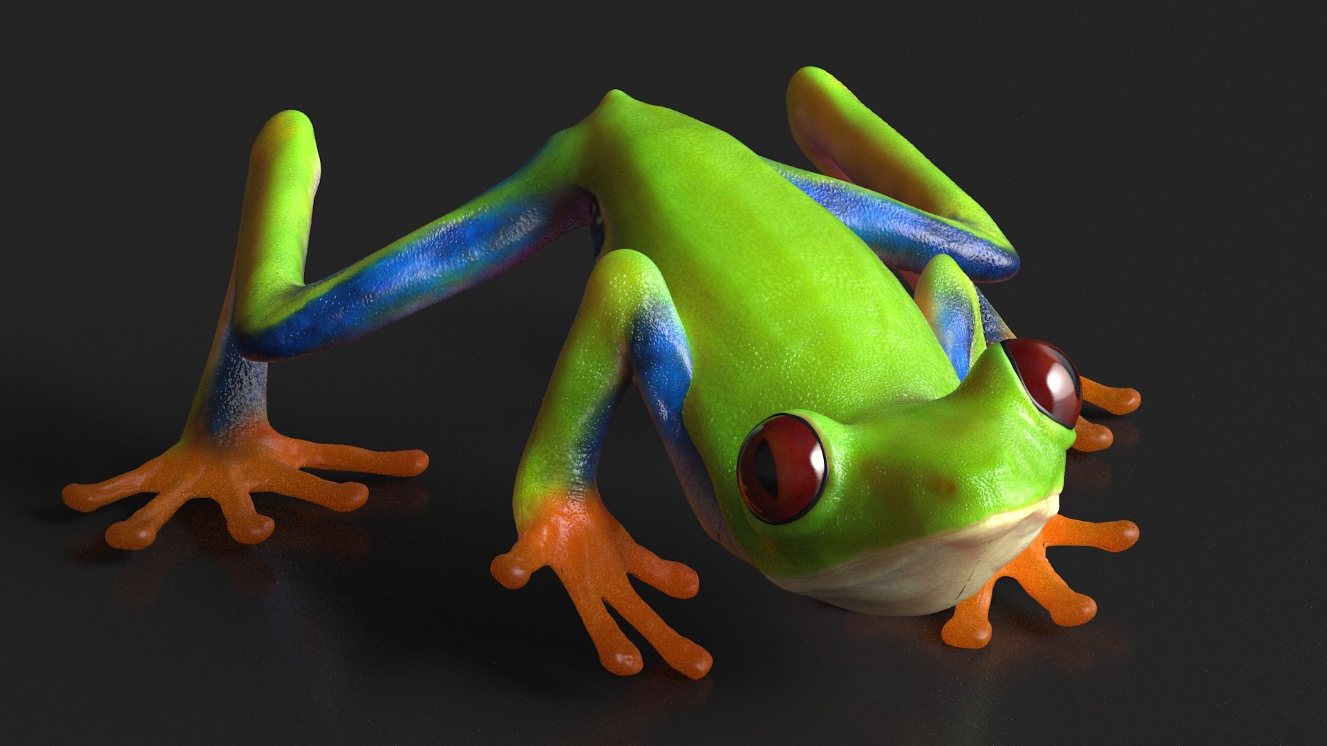 Red Eyed Tree Frog Realistic Rigged For Cinema 4D 3D Model - TurboSquid ...