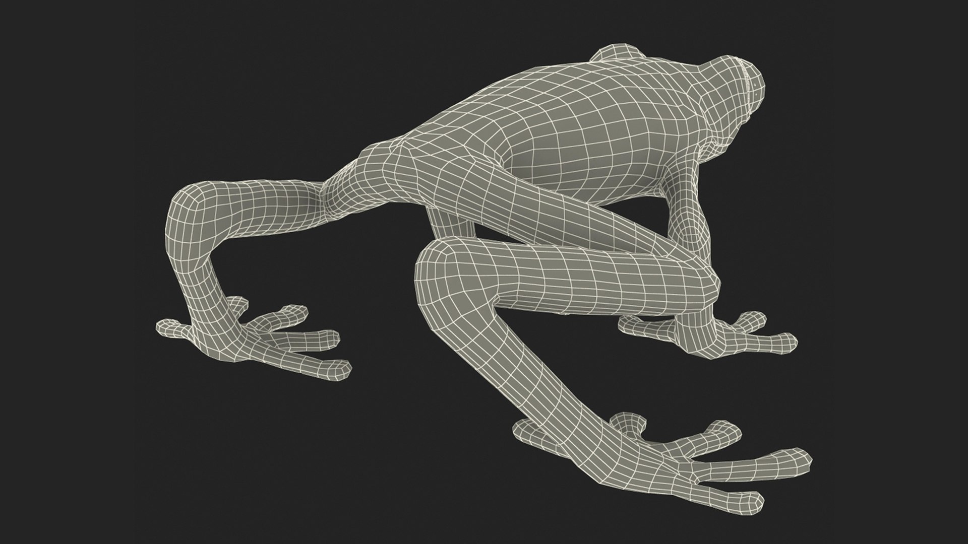 Red Eyed Tree Frog Realistic Rigged For Cinema 4D 3D Model - TurboSquid ...