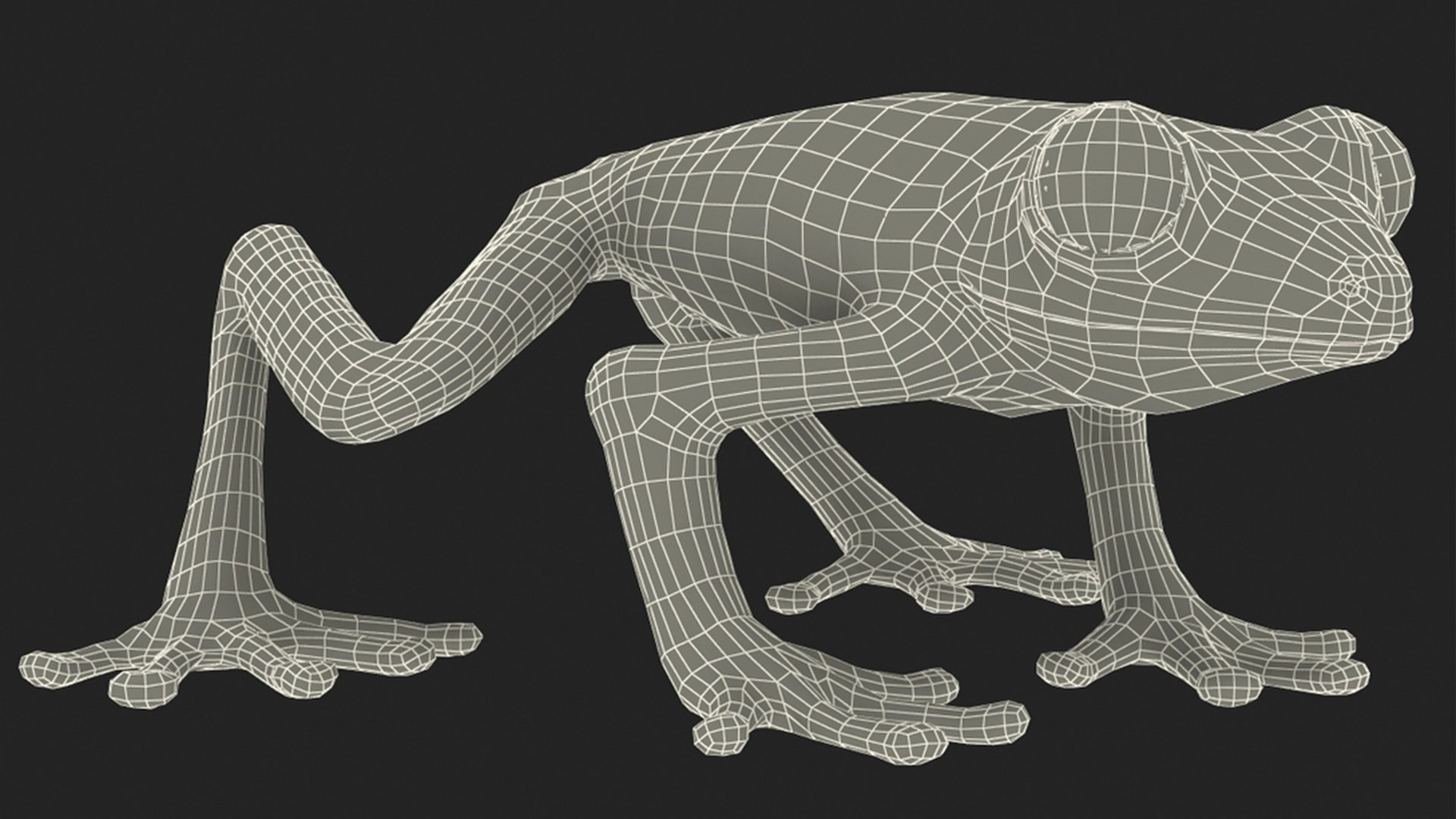 Red Eyed Tree Frog Realistic Rigged For Cinema 4D 3D Model - TurboSquid ...