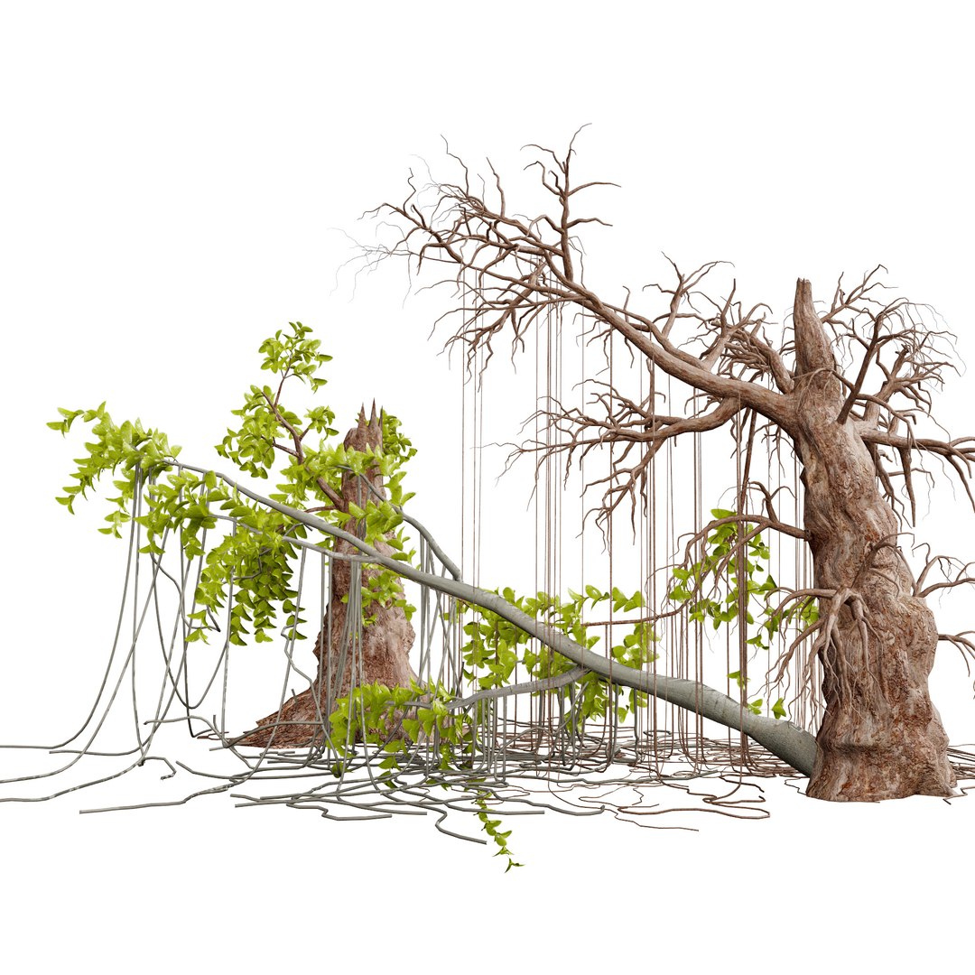 Jungle Tarzan Tree 3D - TurboSquid 2276141