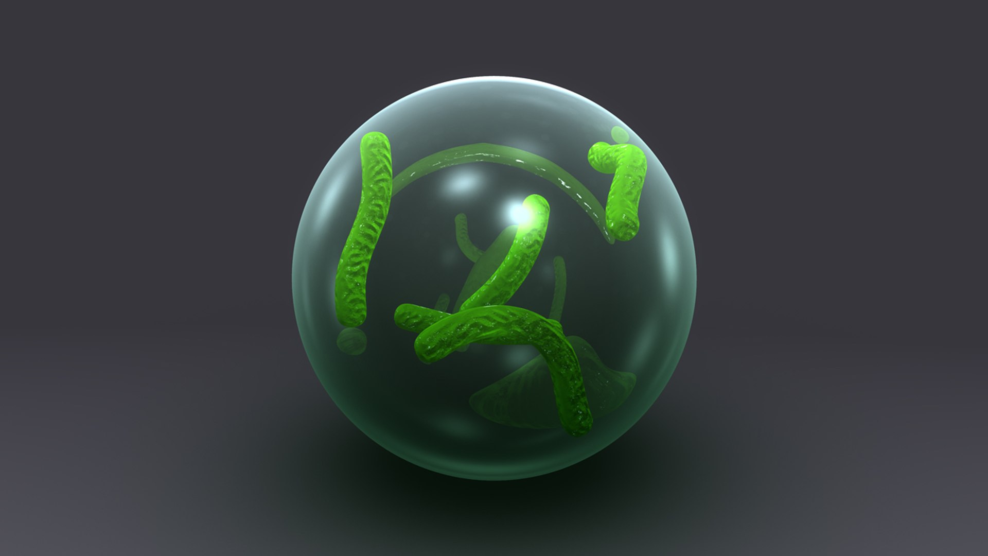 3d model tb bacteria