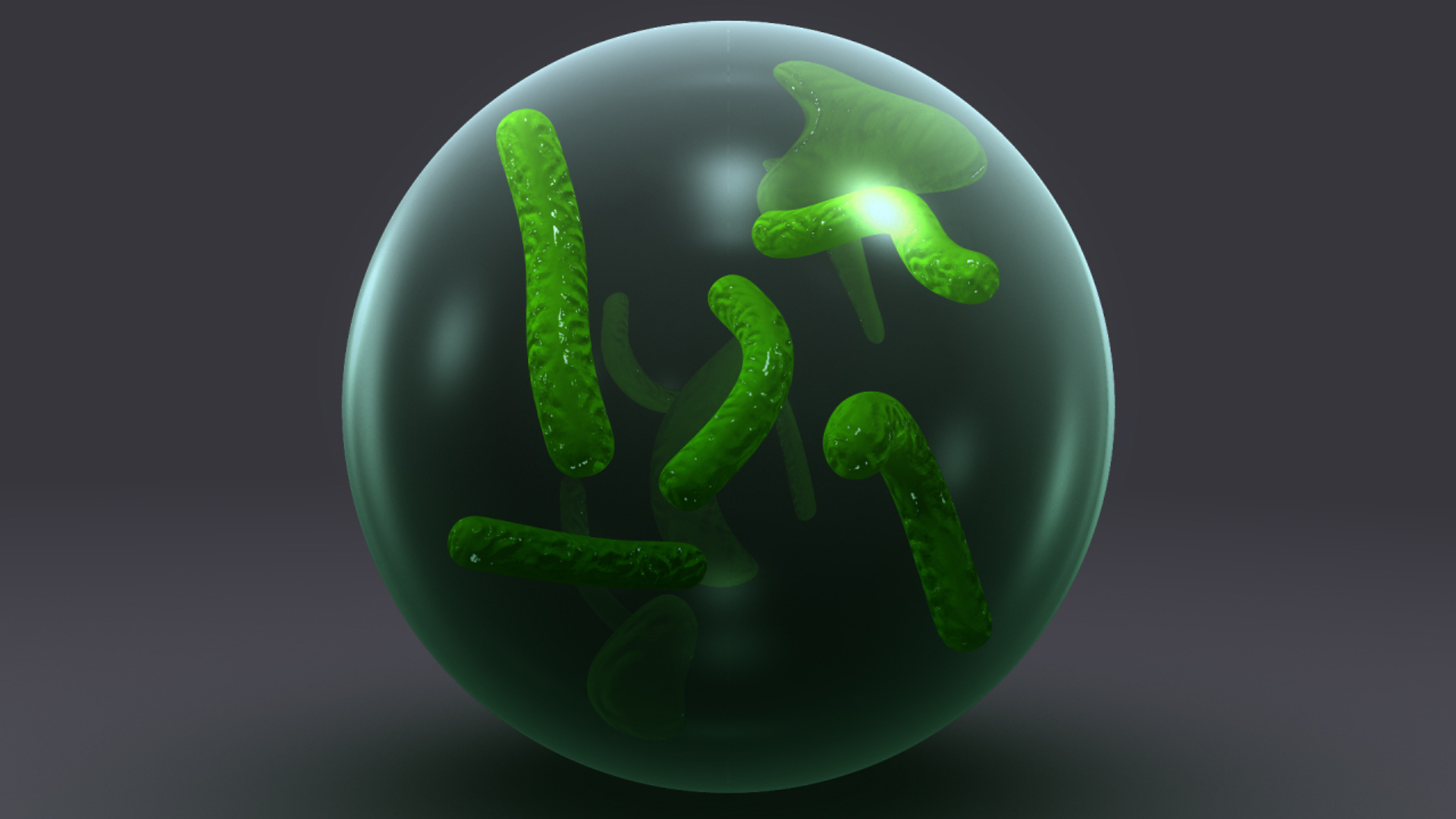 3d model tb bacteria