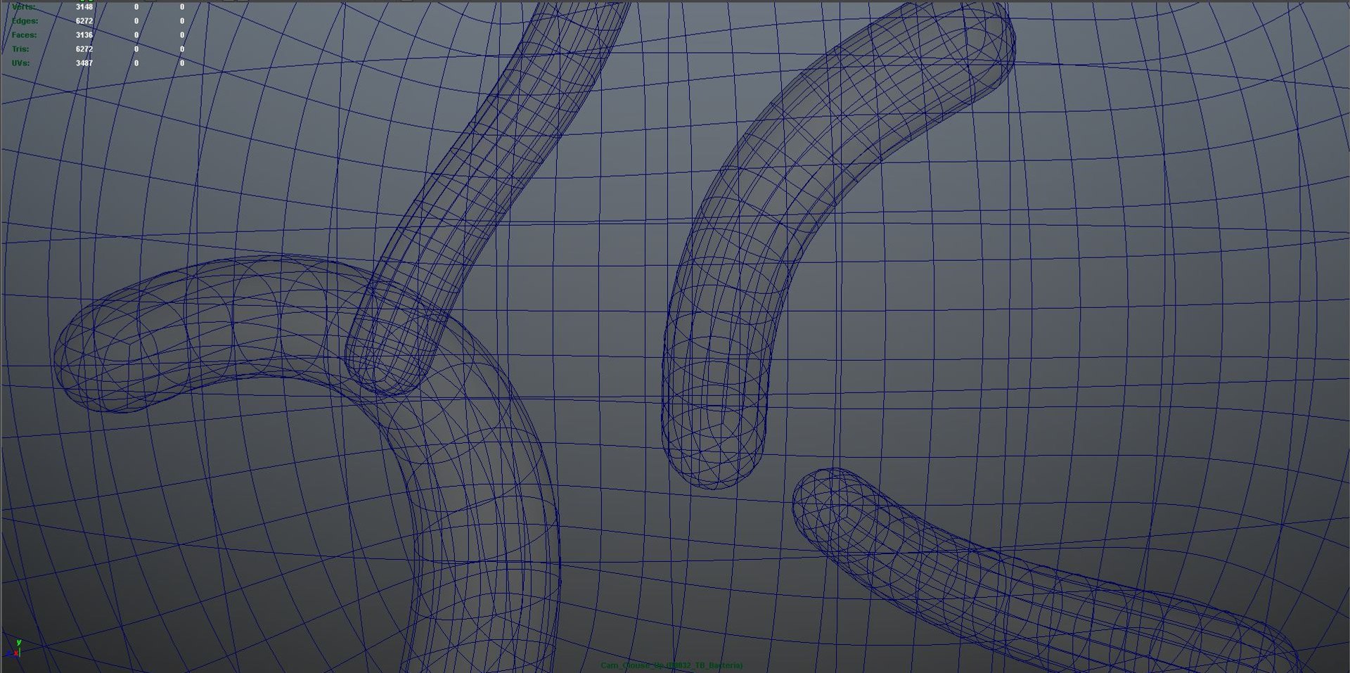 3d model tb bacteria