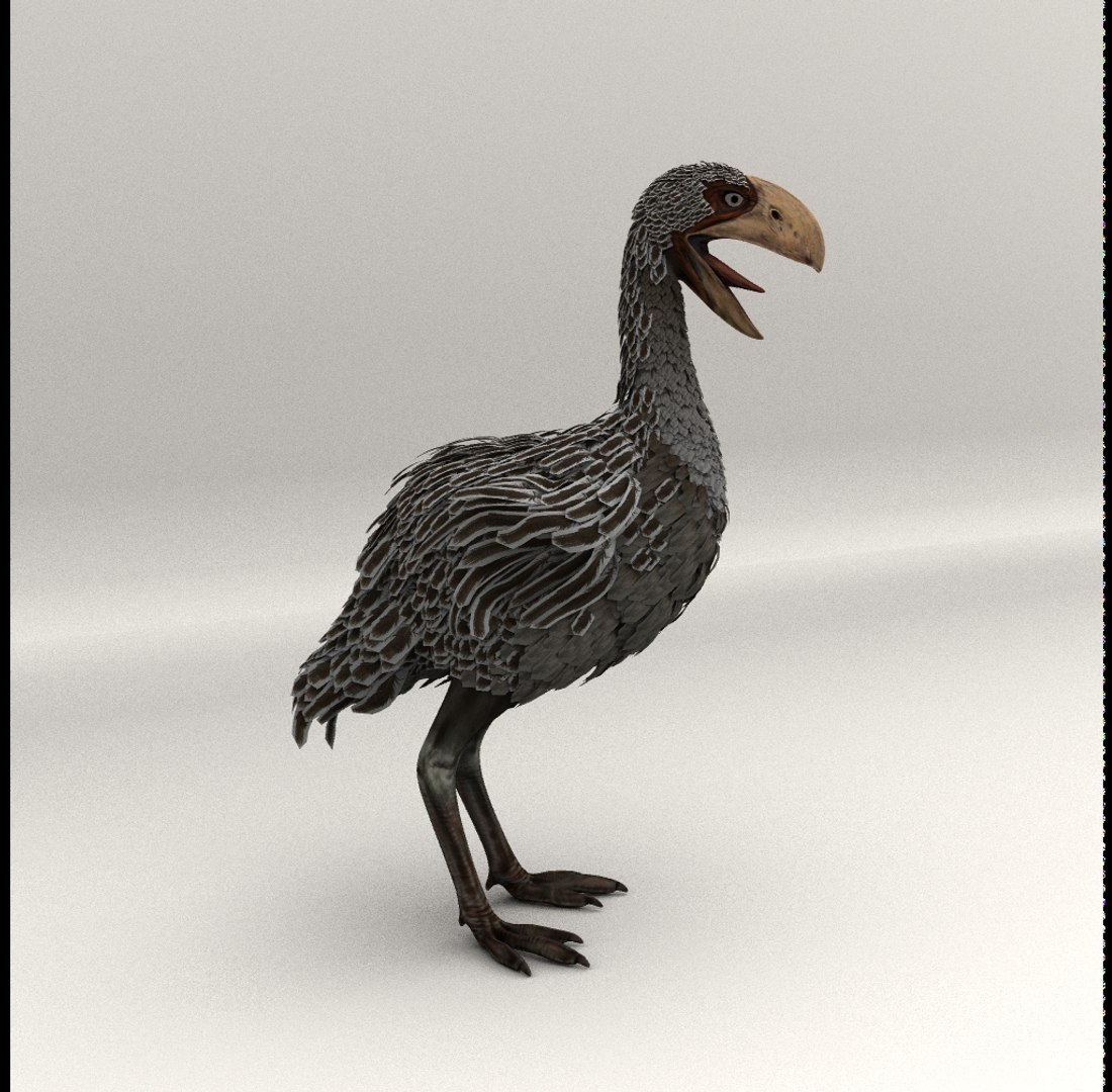 Gastornis Bird 3d Model