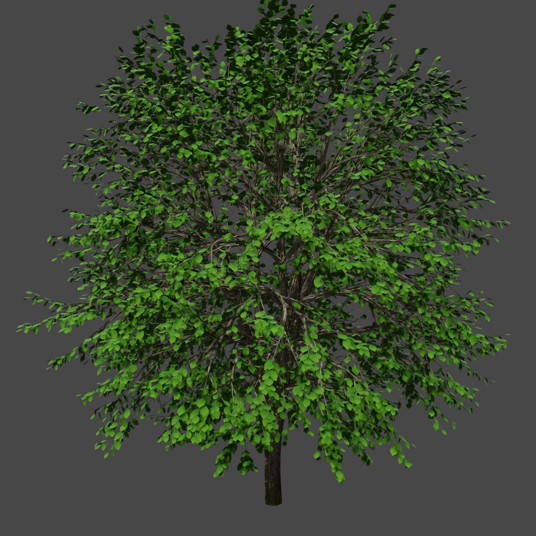 Tree Pbr Model - TurboSquid 1528843
