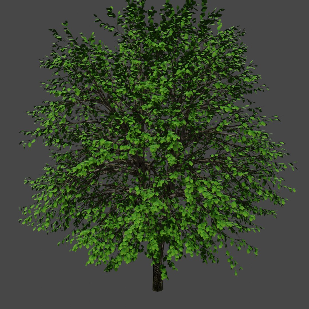 Tree Pbr Model - TurboSquid 1528843
