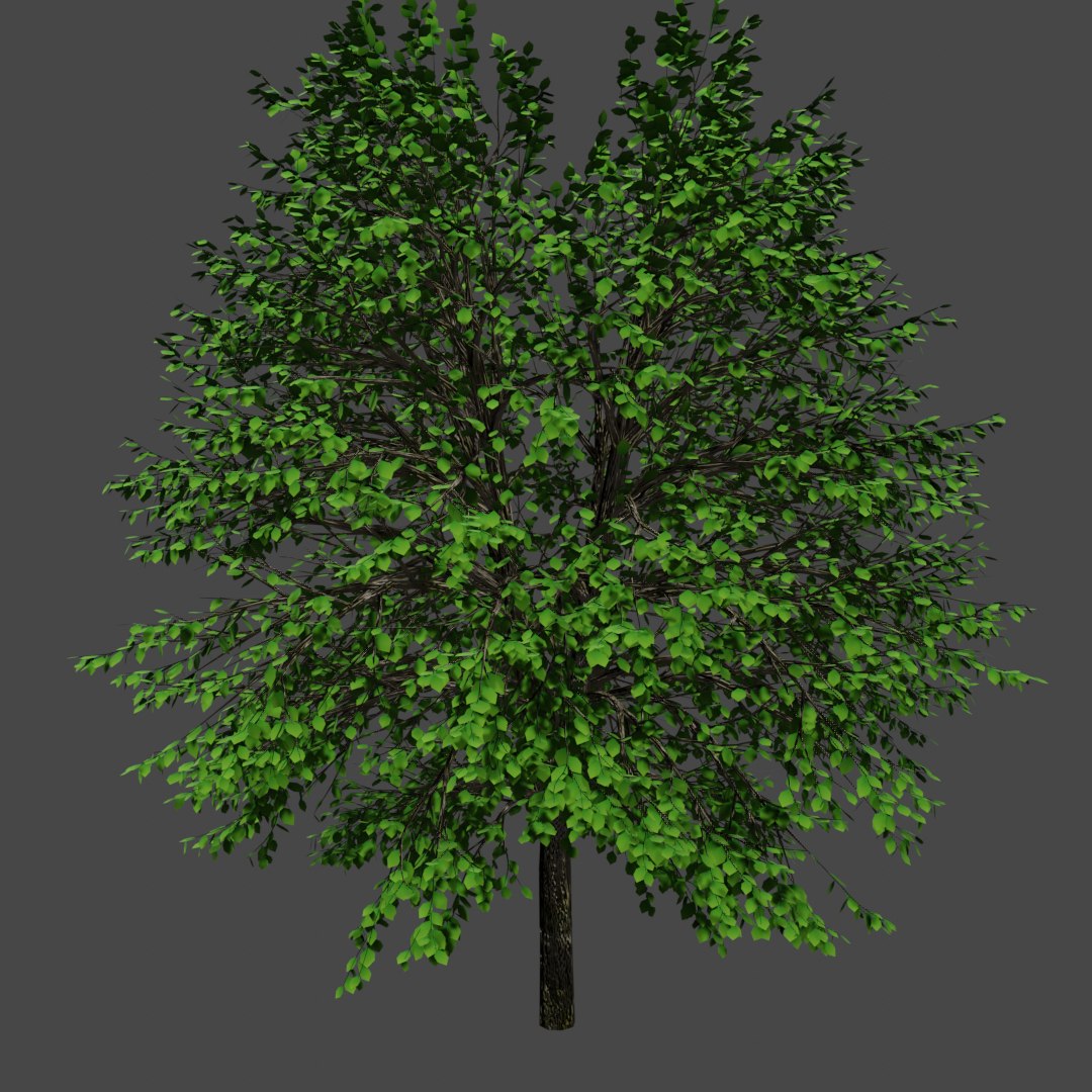 Tree Pbr Model - TurboSquid 1528843