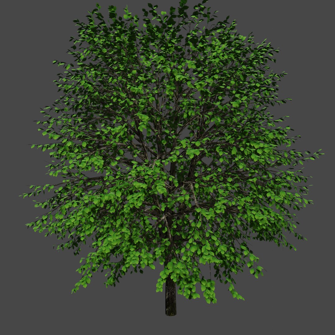 Tree Pbr Model - TurboSquid 1528843