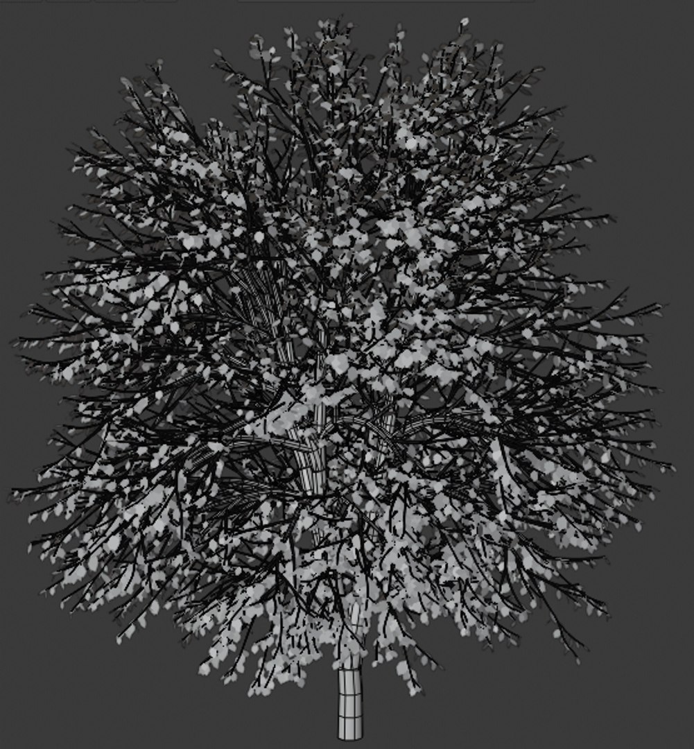 Tree Pbr Model - TurboSquid 1528843