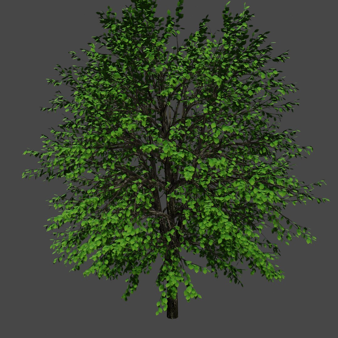 Tree Pbr Model - TurboSquid 1528843
