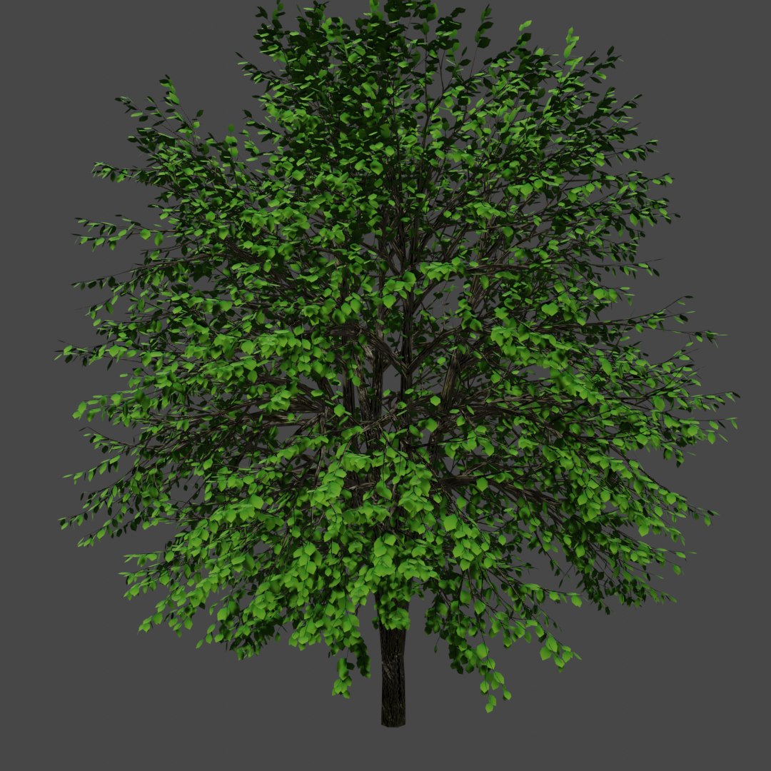 Tree Pbr Model - TurboSquid 1528843