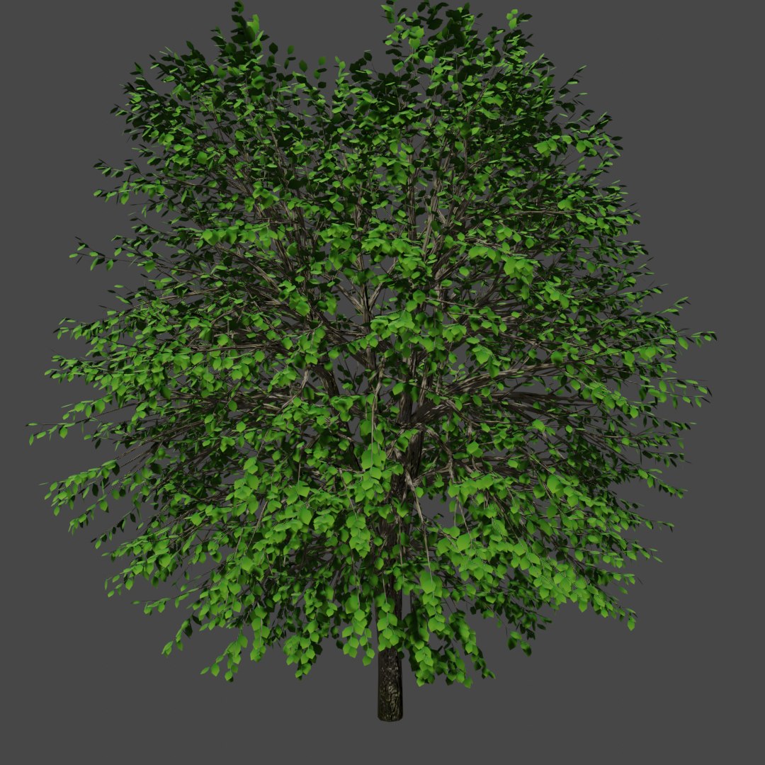 Tree Pbr Model - TurboSquid 1528843