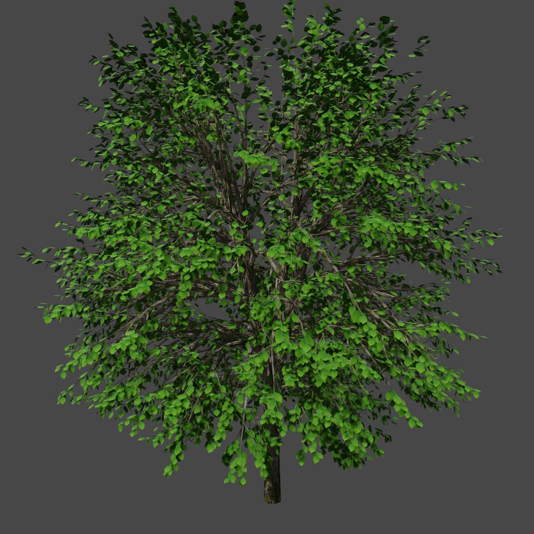 Tree Pbr Model - TurboSquid 1528843