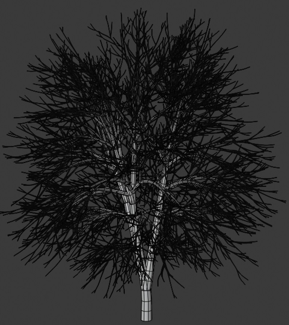 Tree Pbr Model - TurboSquid 1528843