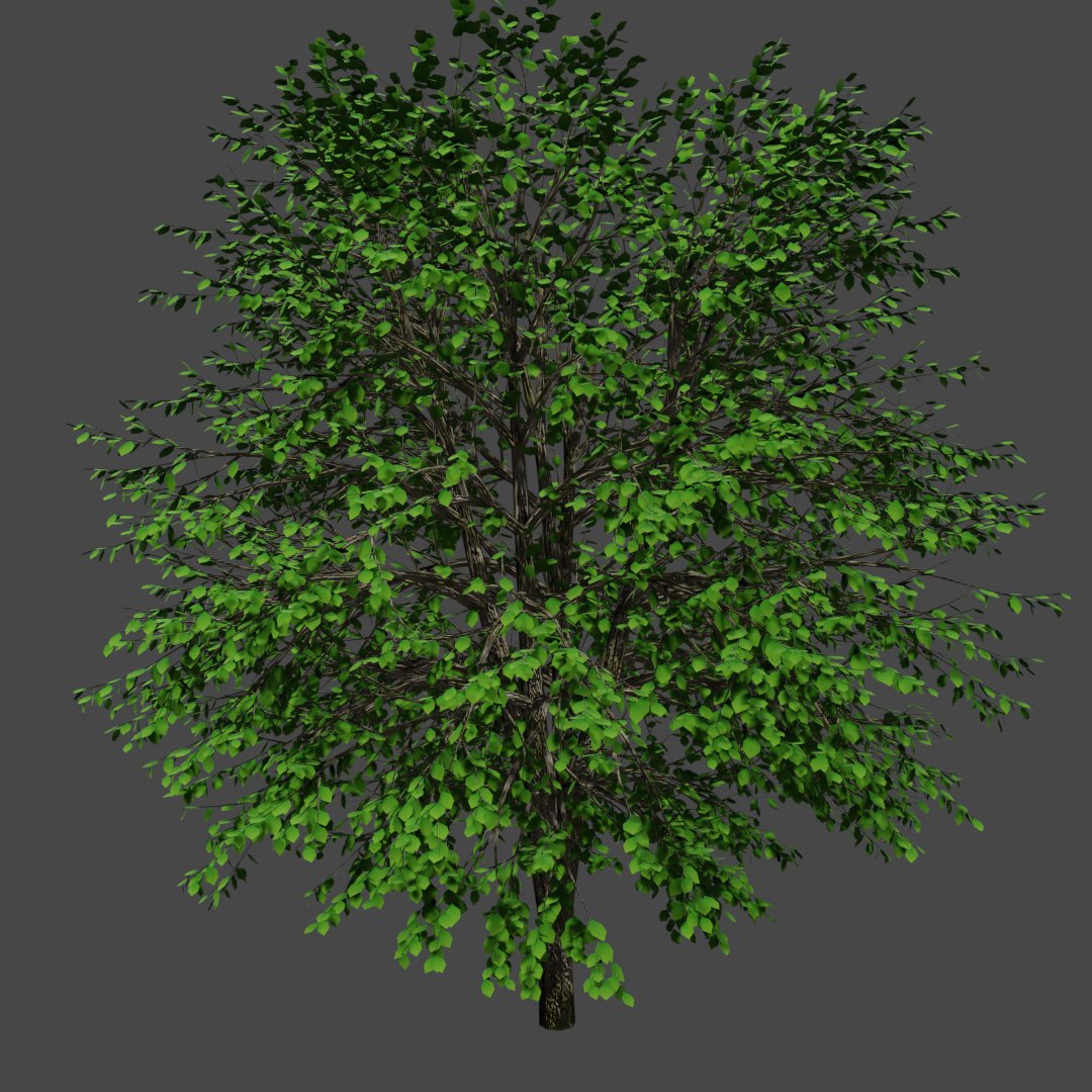 Tree Pbr Model - TurboSquid 1528843