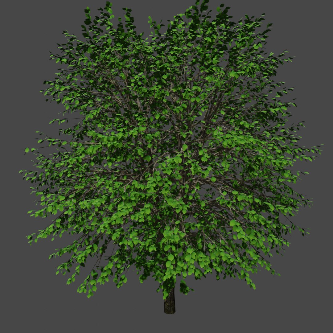 Tree Pbr Model - TurboSquid 1528843
