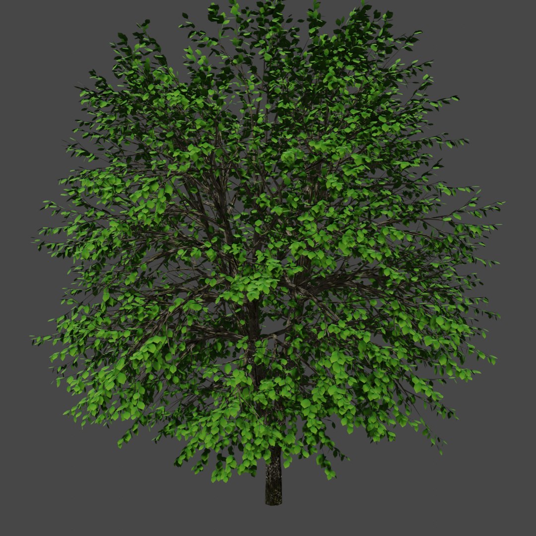 Tree Pbr Model - TurboSquid 1528843
