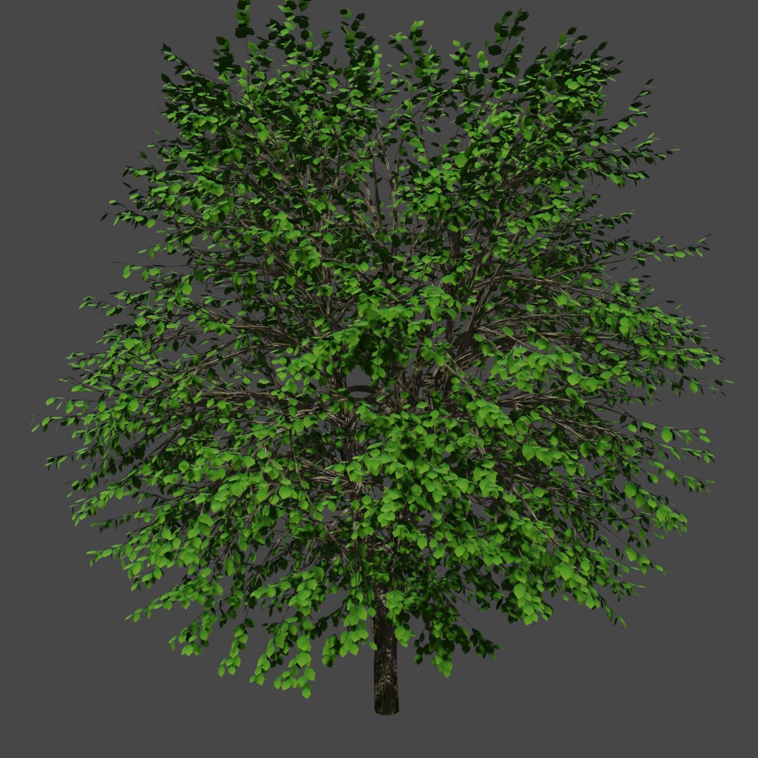 Tree Pbr Model - TurboSquid 1528843