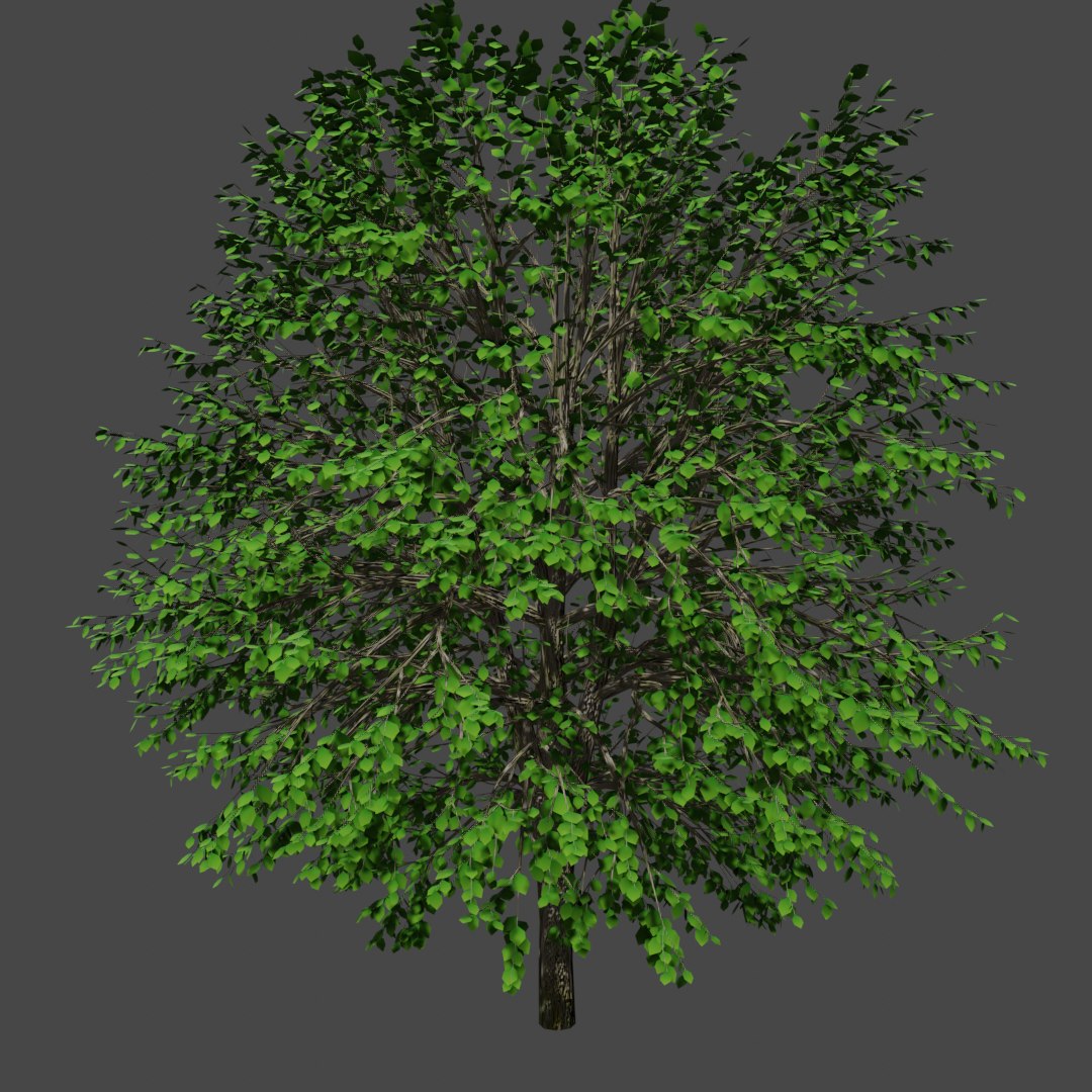 Tree Pbr Model - TurboSquid 1528843