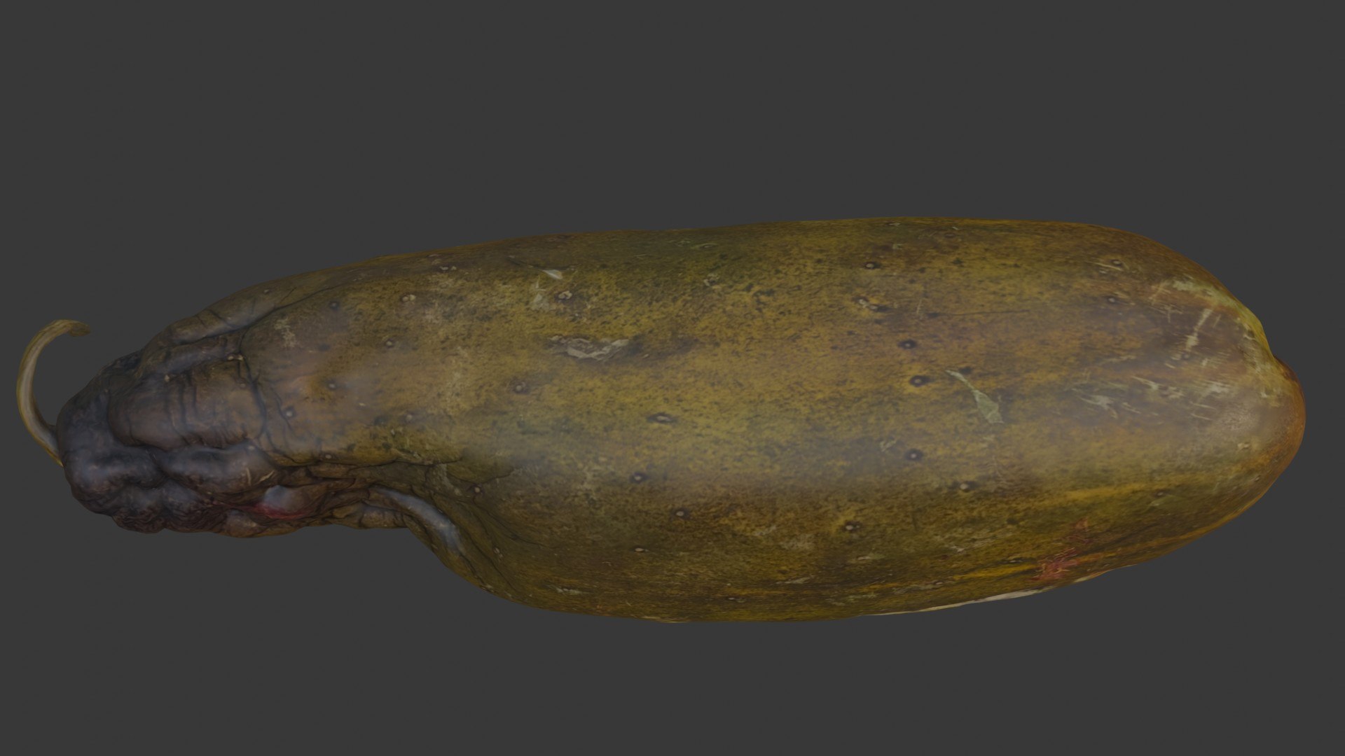 3D Model Weathered Marrow Squash Scan - TurboSquid 2435137