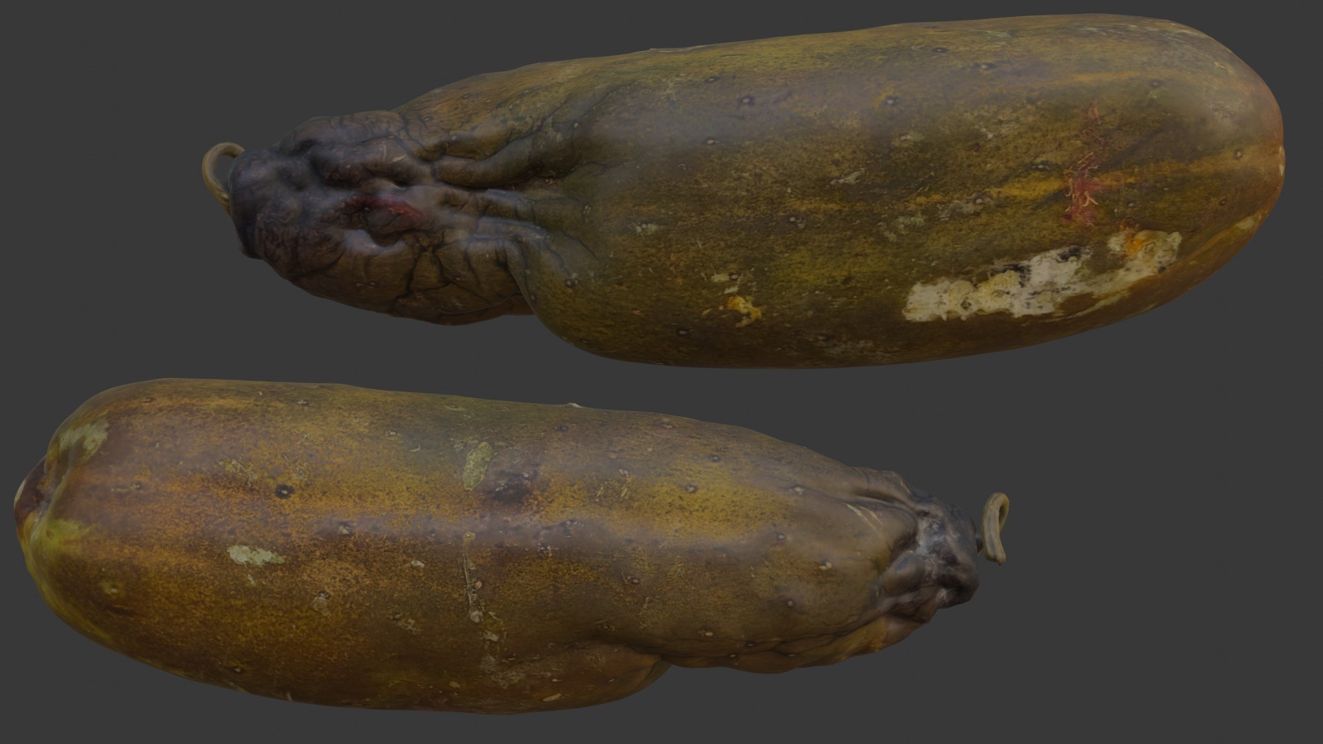 3D Model Weathered Marrow Squash Scan - TurboSquid 2435137
