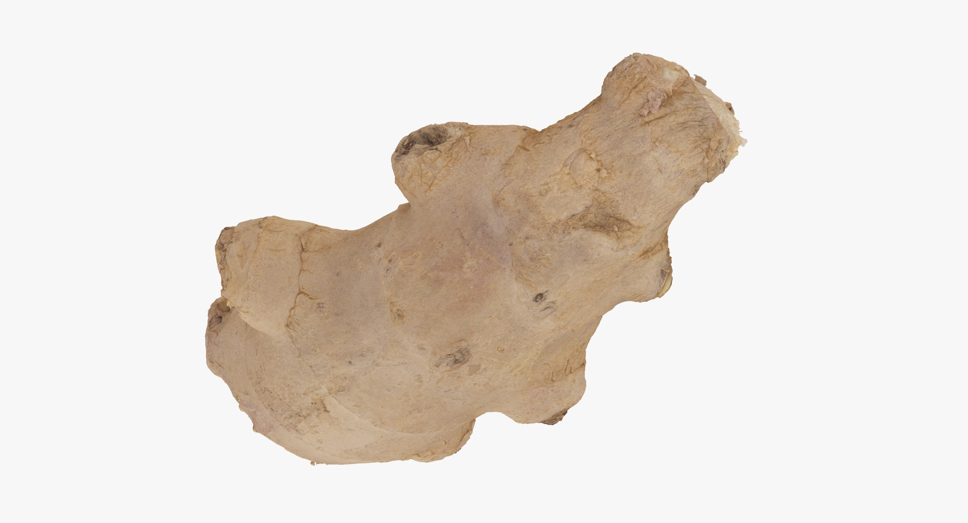 Ginger Roots Collection 04 - 2 Models RAW Scans 3D Model - TurboSquid ...