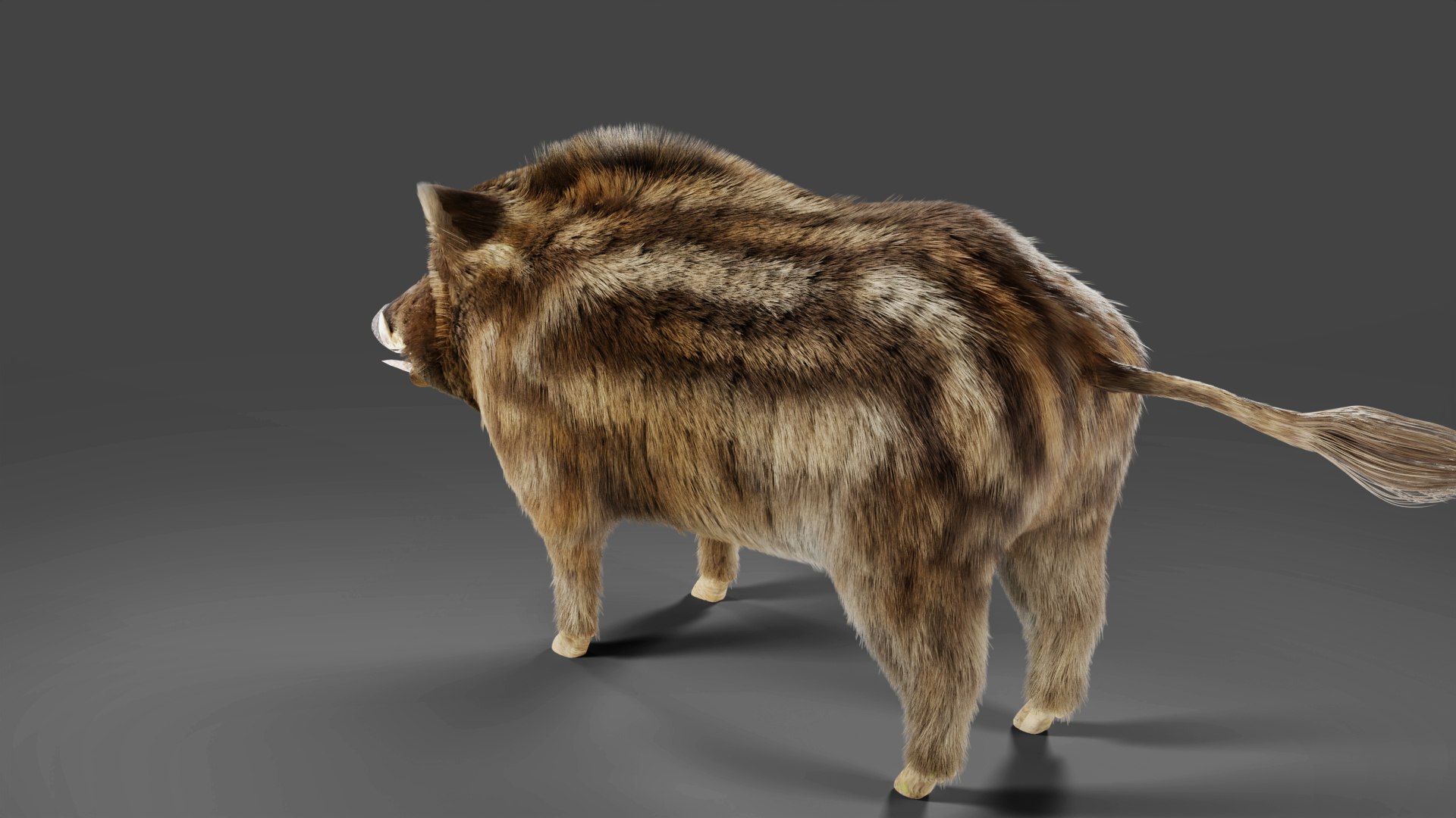 3D Fur Wild Boar V03 Rigged And Animation Model - TurboSquid 1991106