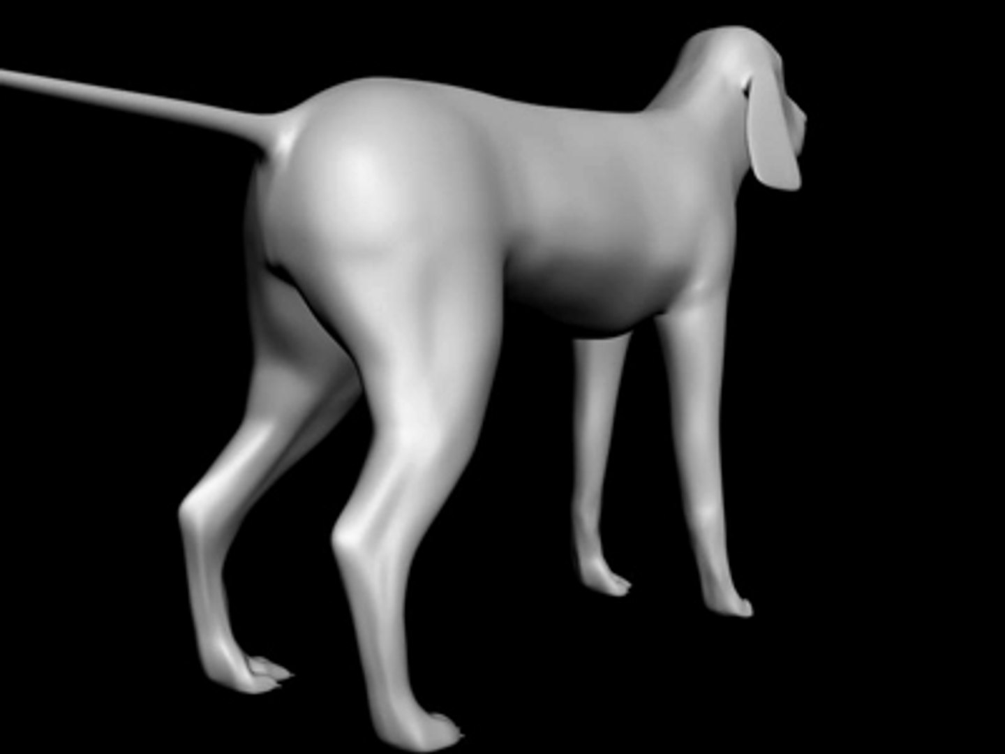 Dog Canine 3d Model