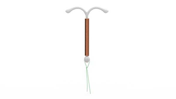 3D Copper Intrauterine Device IUD model - TurboSquid 1926887