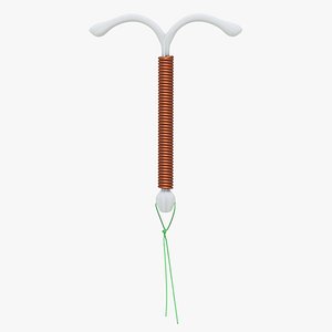 3D Intrauterine Models | TurboSquid